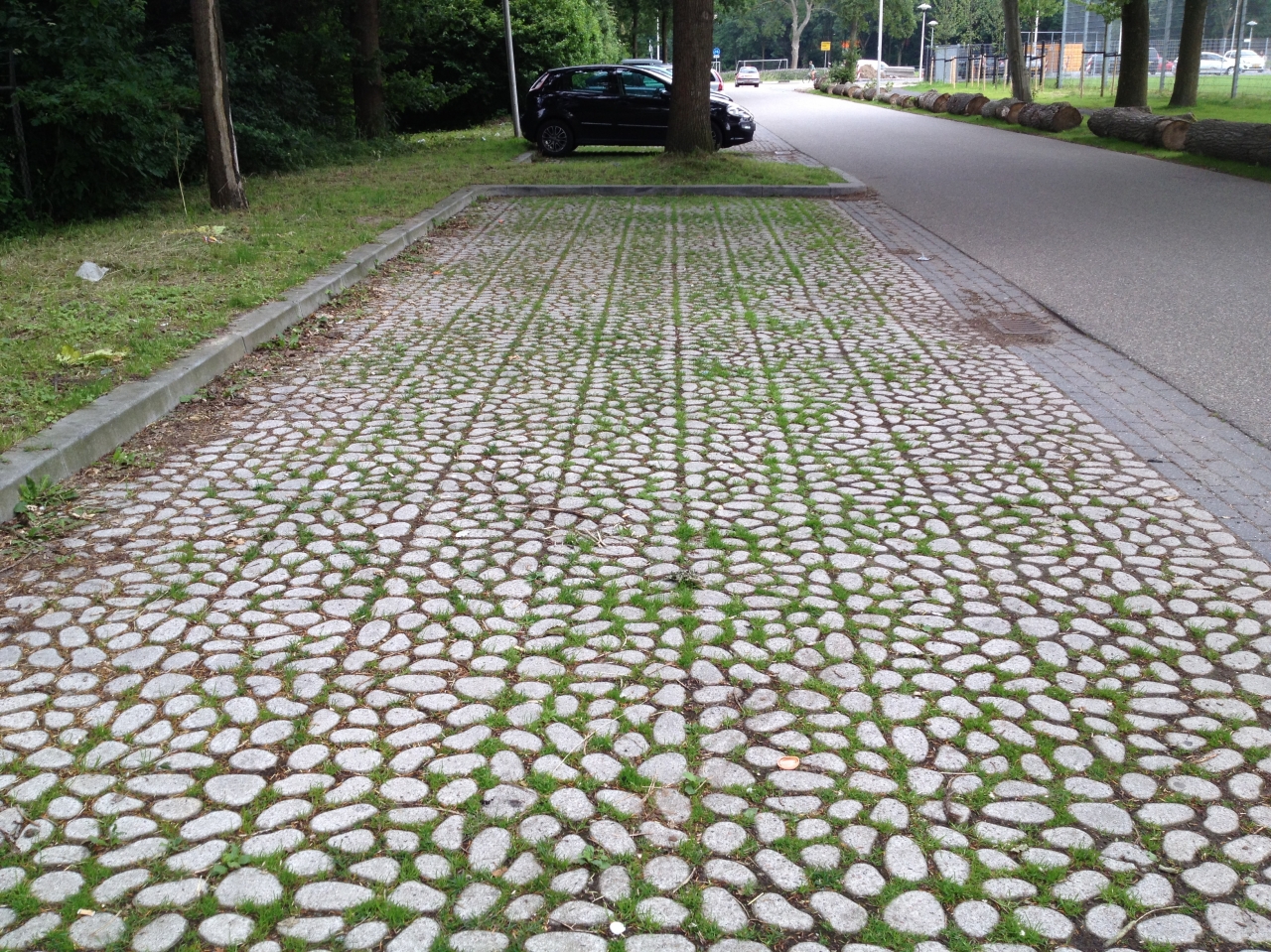 LEVERANCIER VOOR WEG- EN WATERBOUW